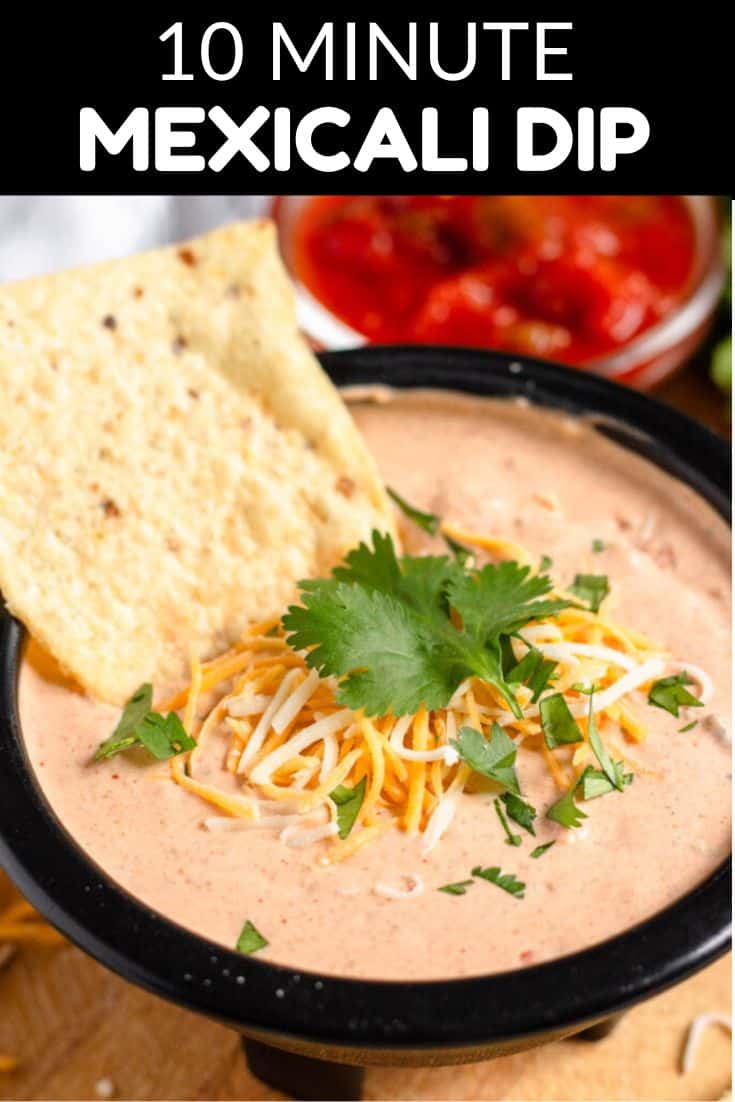 Mexicali Dip - Easy Southwest Dip- The Domestic Spoon