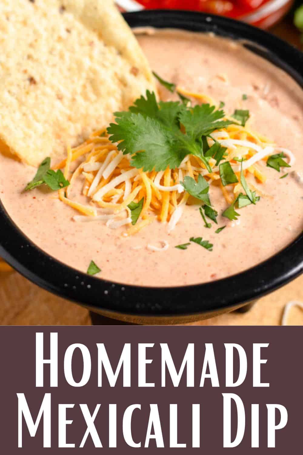 Mexicali Dip - Easy Southwest Dip- The Domestic Spoon