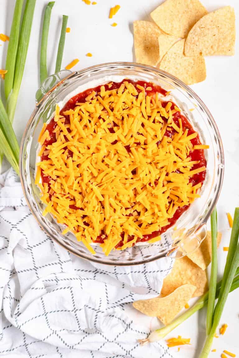 Cream Cheese Salsa Dip - 10 Minute Appetizer (Serve Hot or Cold!)