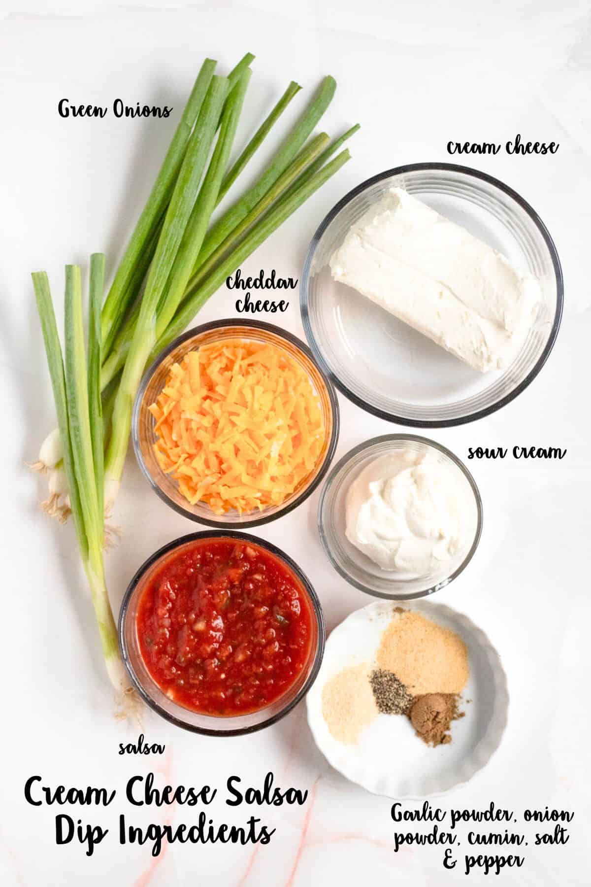 Cream Cheese Salsa Dip - 10 Minute Appetizer (Serve Hot or Cold!)